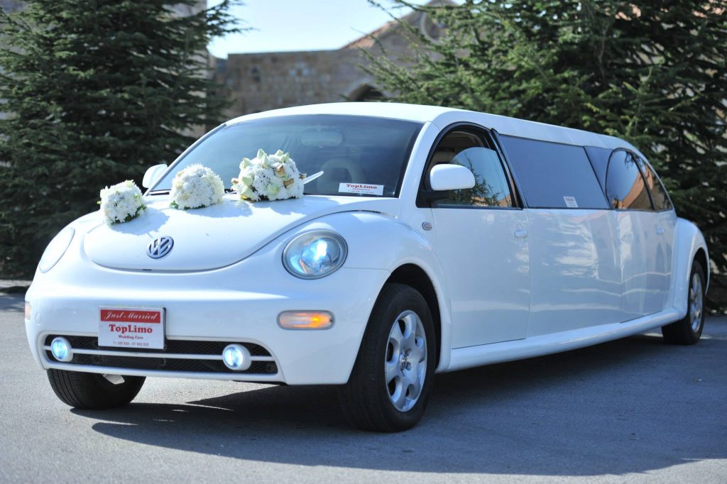 Limo Beetle – Limo Lebanon